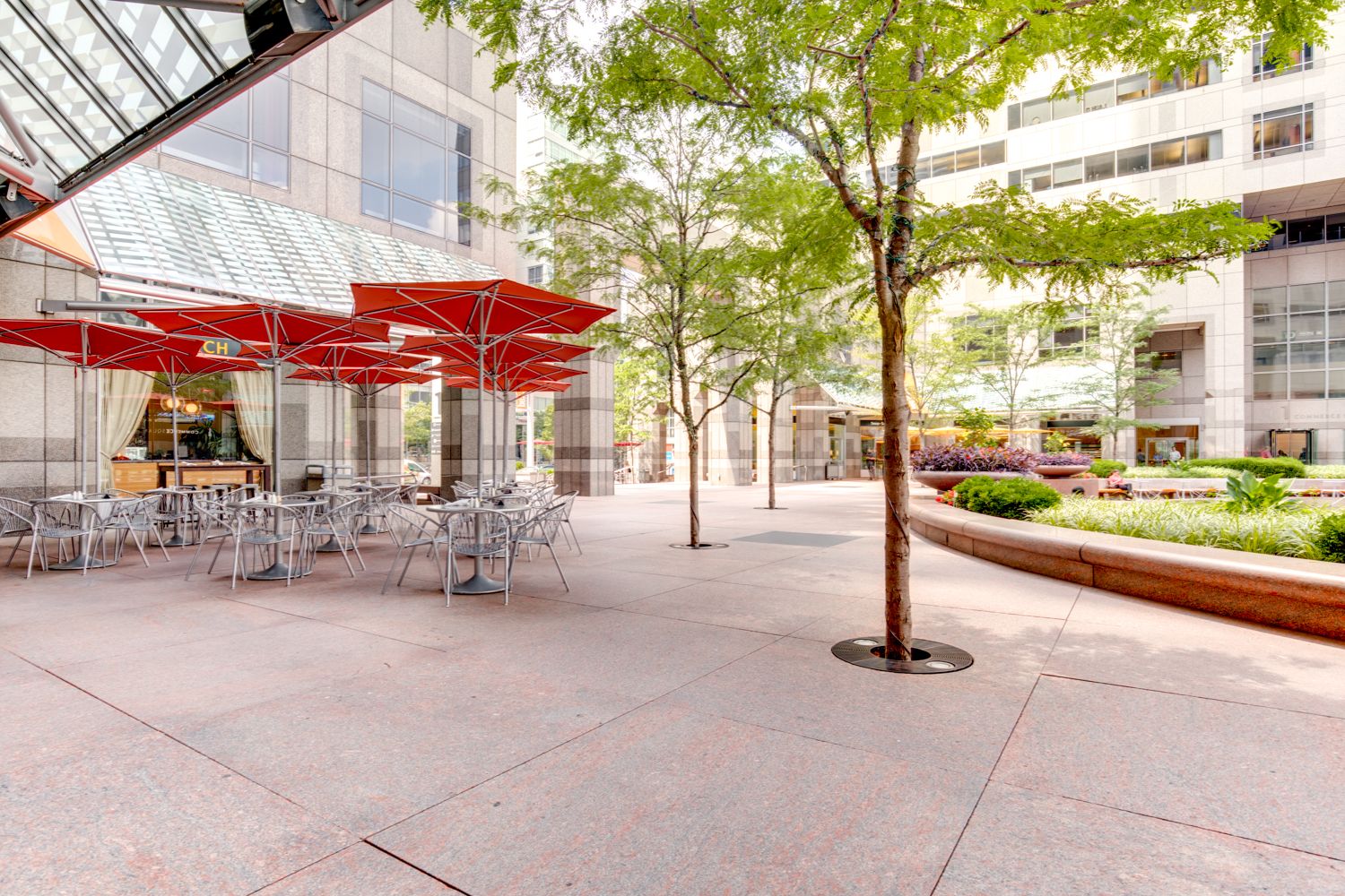 Decorative Metal Tree Grates | Shelly Lighting